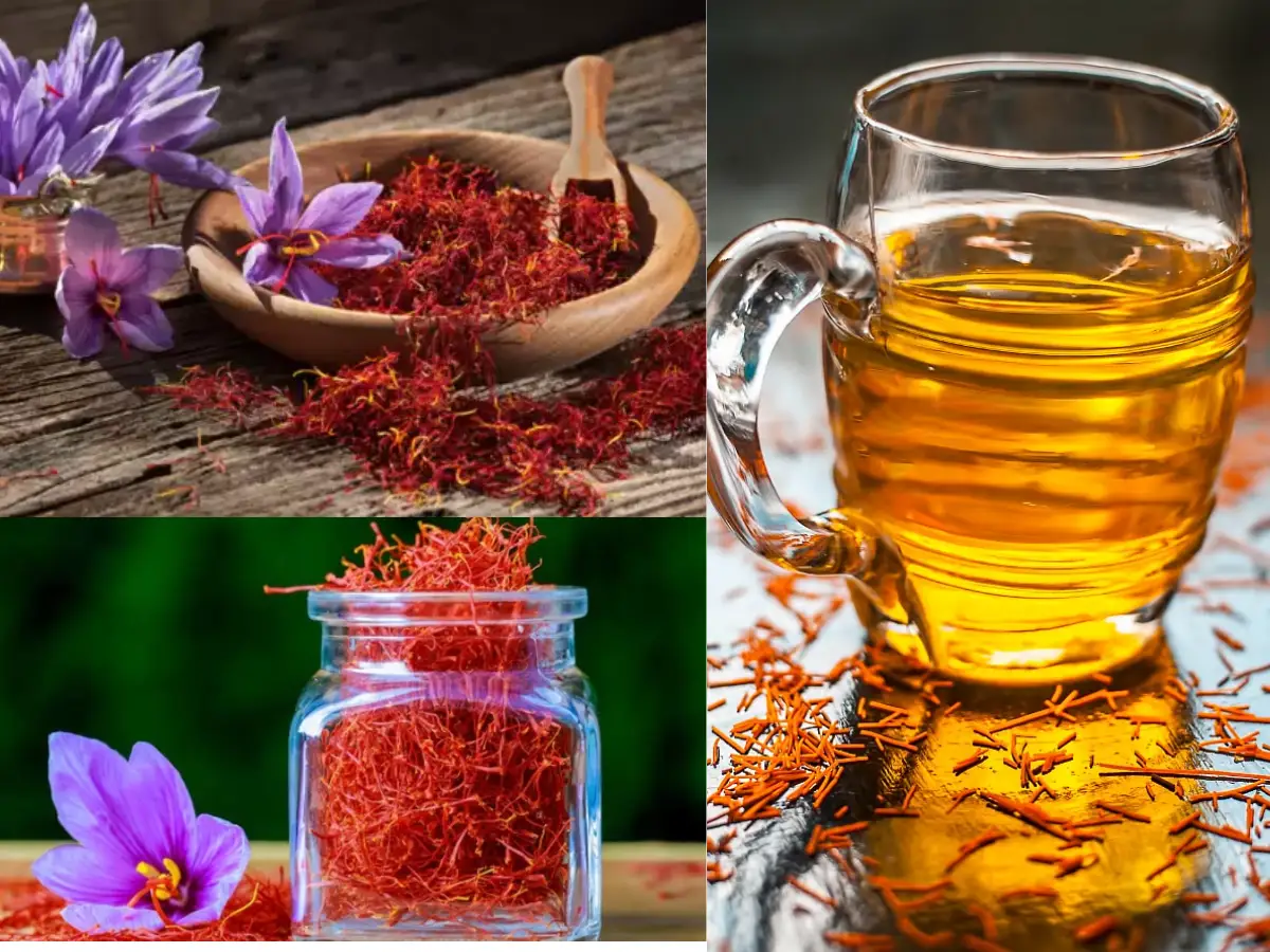 Saffron Water: 5 Benefits Of Drinking Kesar Water Daily - Times Bull