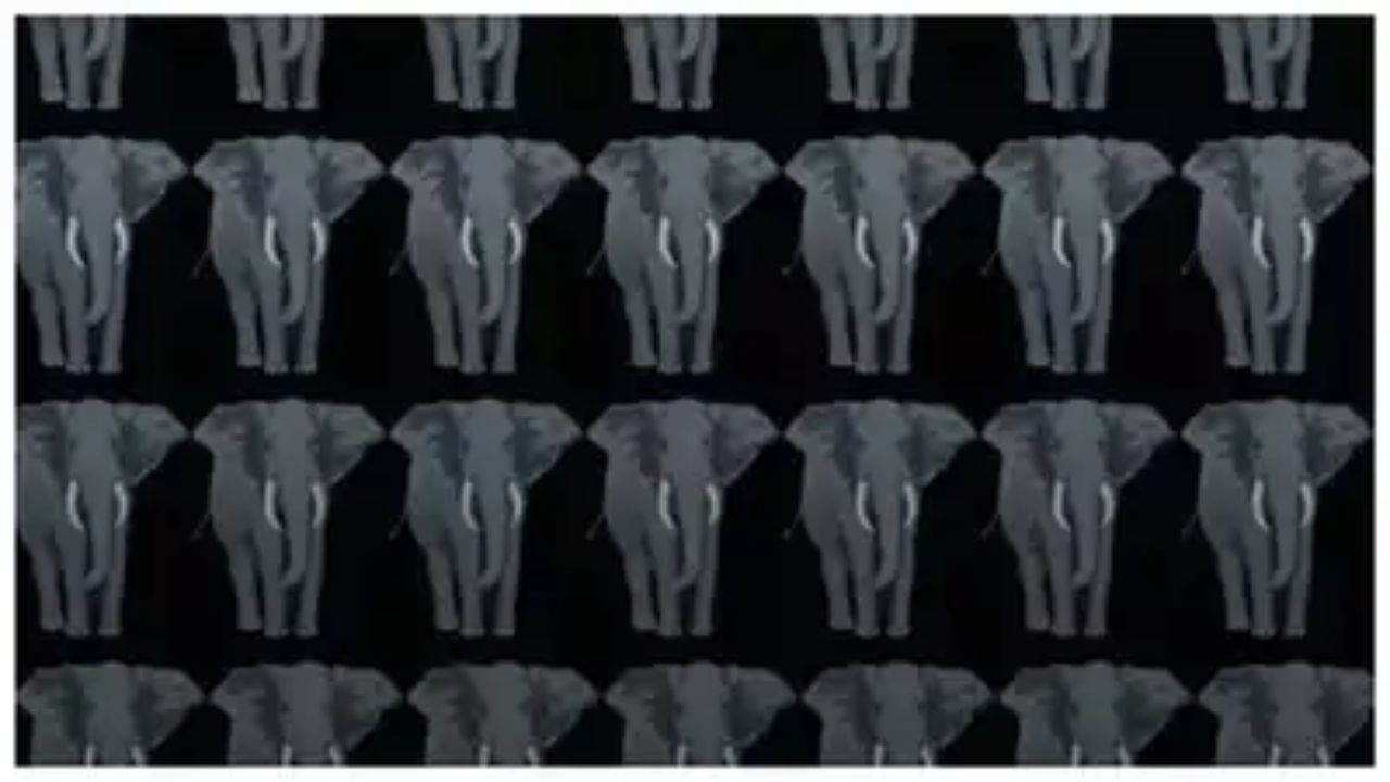 Challenge Your Observation Skills: Find the Odd Elephant Fast - Times Bull
